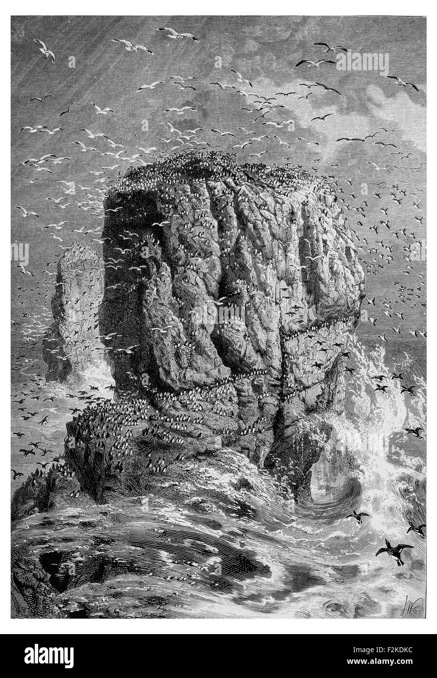 Print descriptions Black and White Stock Photos & Images - Alamy