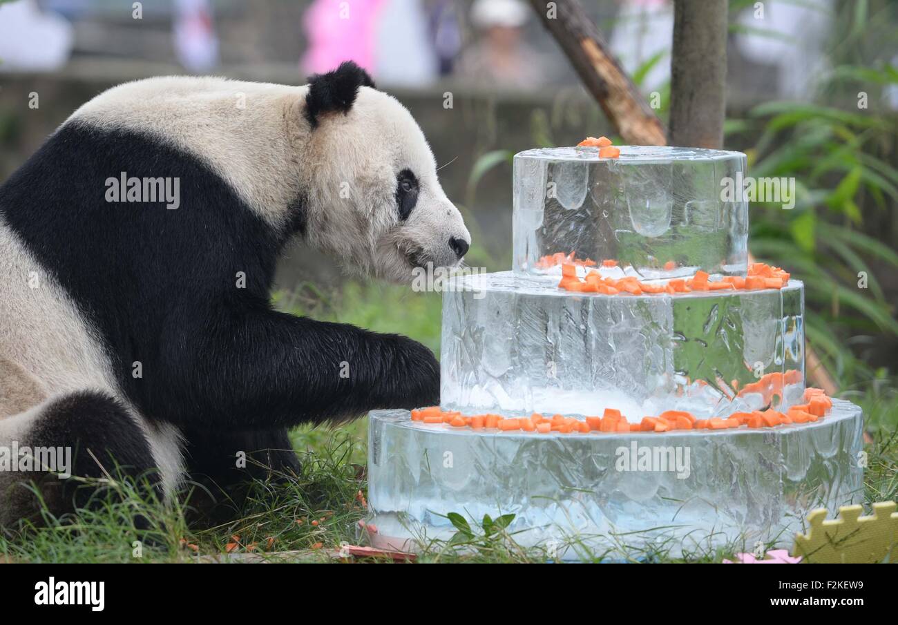 Dujiangyan, China's Sichuan Province. 21st Sep, 2015. Giant panda "Pan ...