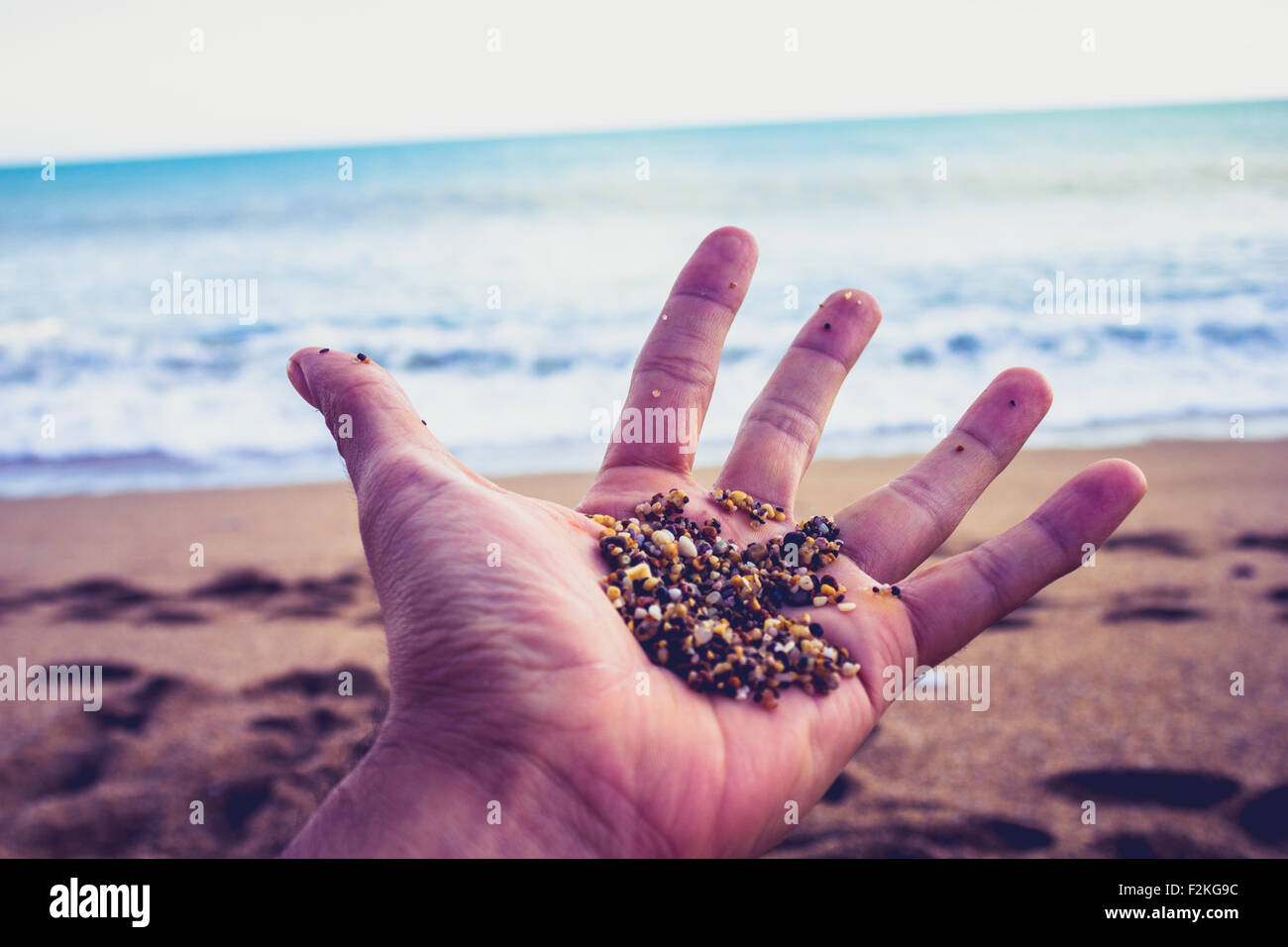 hand with pebble on beach Stock Photo - Alamy