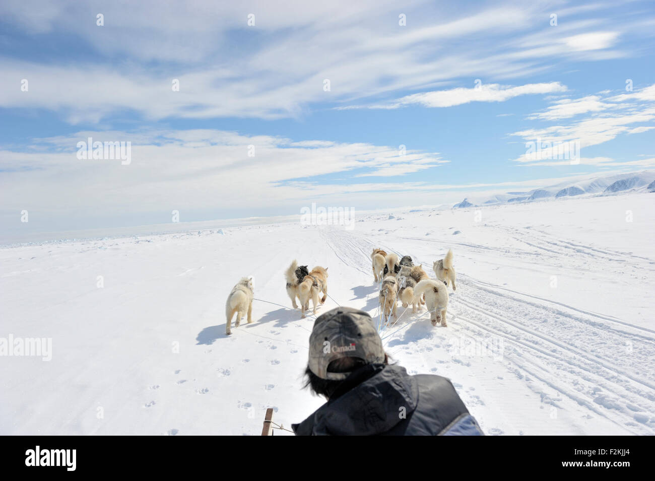 Arctic explore sledge hi-res stock photography and images - Alamy