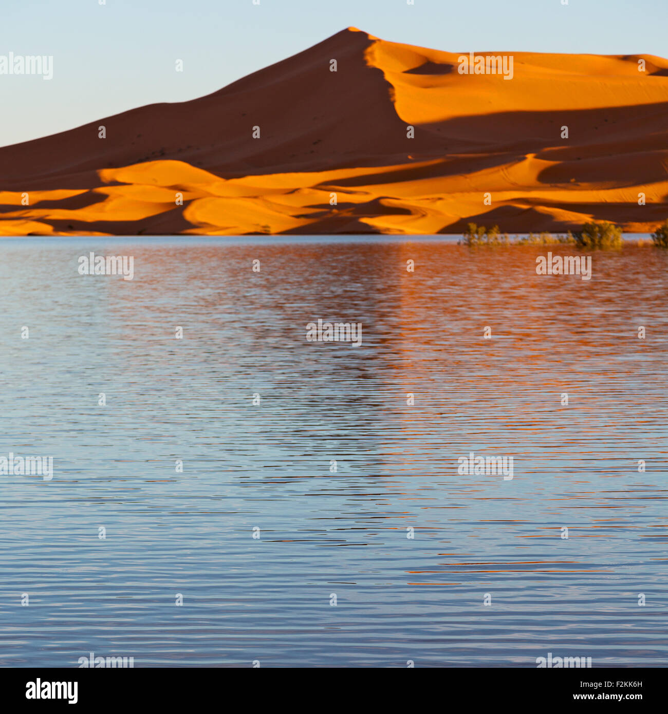 sunshine in the desert of morocco sand and lake dune Stock Photo - Alamy