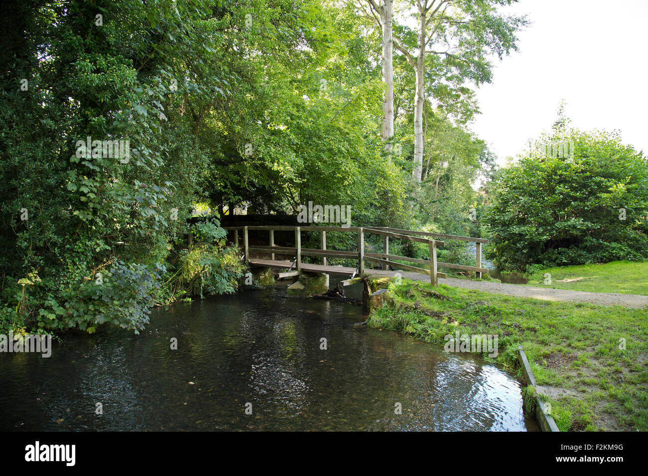 River Tllingbourne in the medieval village of Shere near Guldford ...