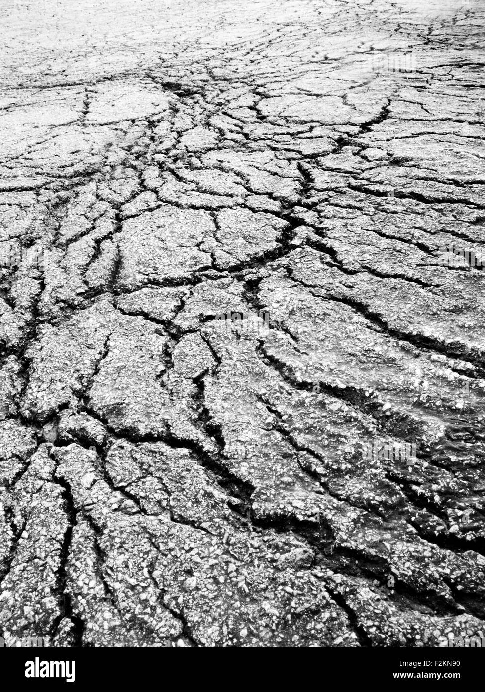 Soil Black and White Stock Photos & Images - Alamy