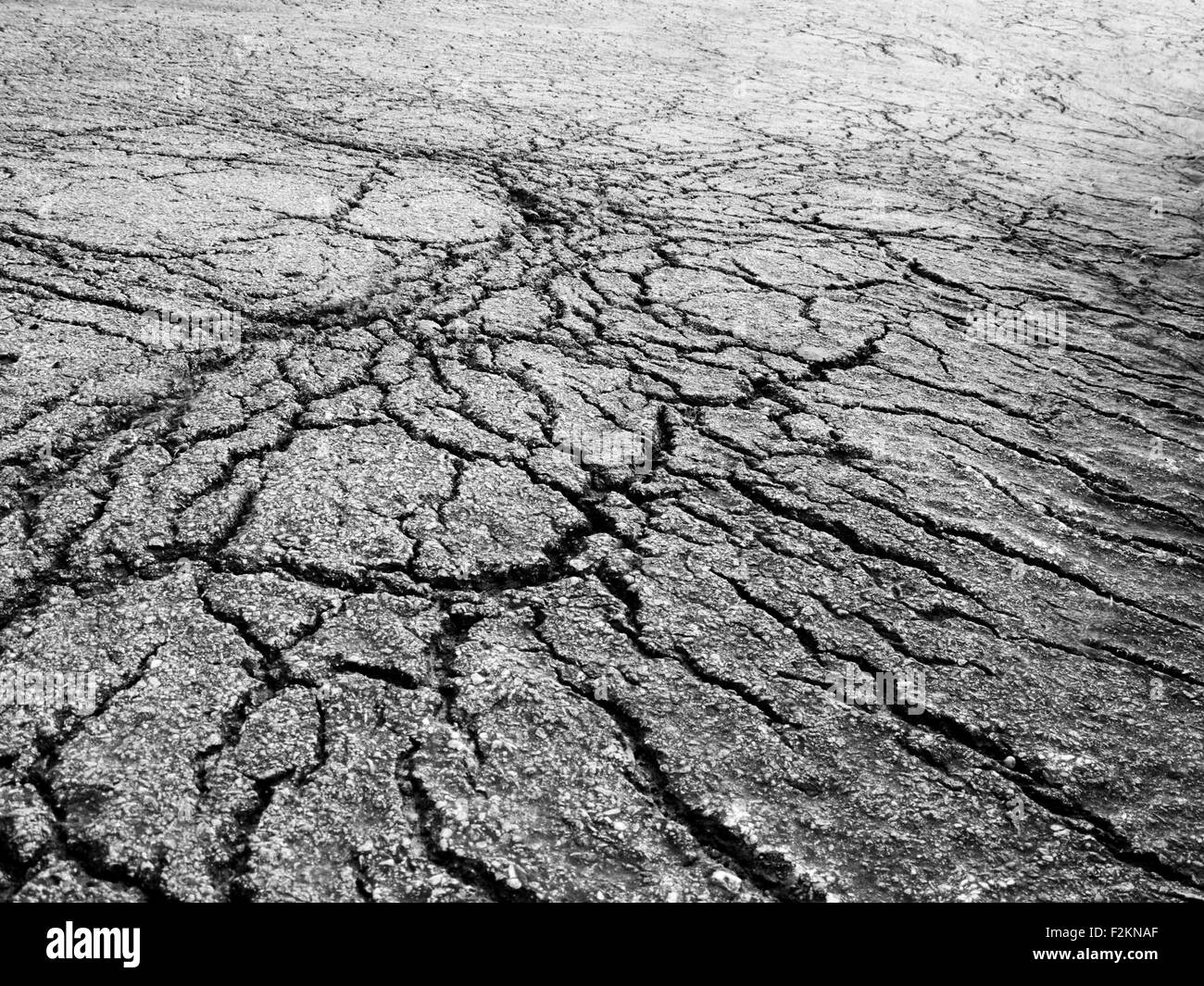 Soil texture hi-res stock photography and images - Alamy