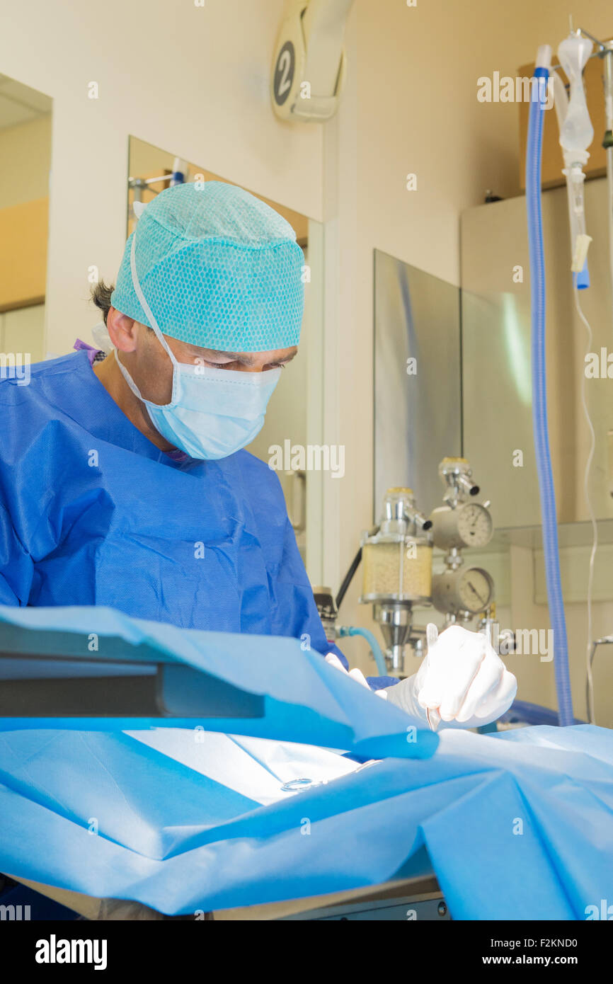 Animal surgery room hi-res stock photography and images - Alamy