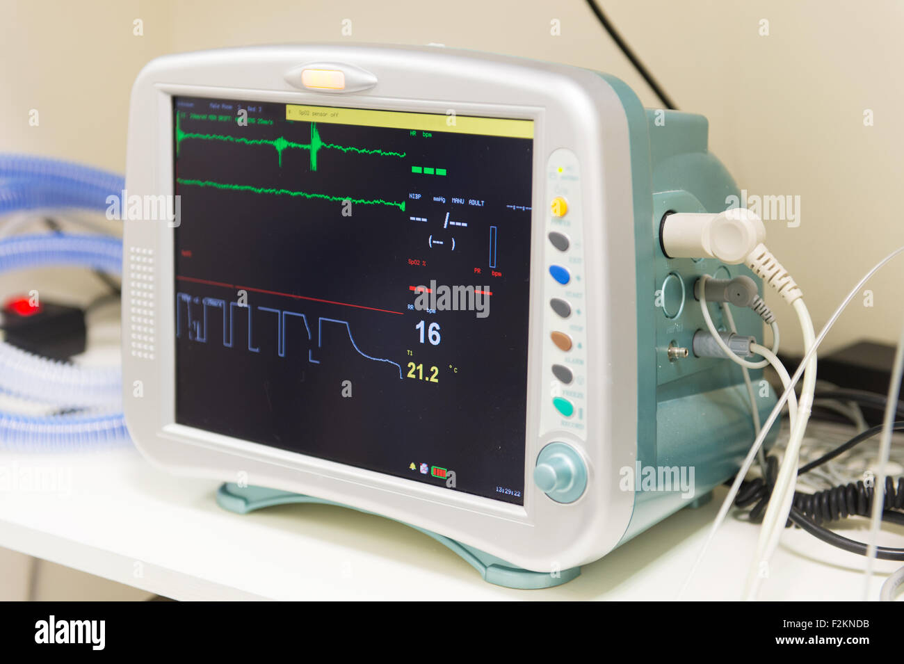 Monitor for measuring the heartbeat at the veterinarian Stock Photo - Alamy