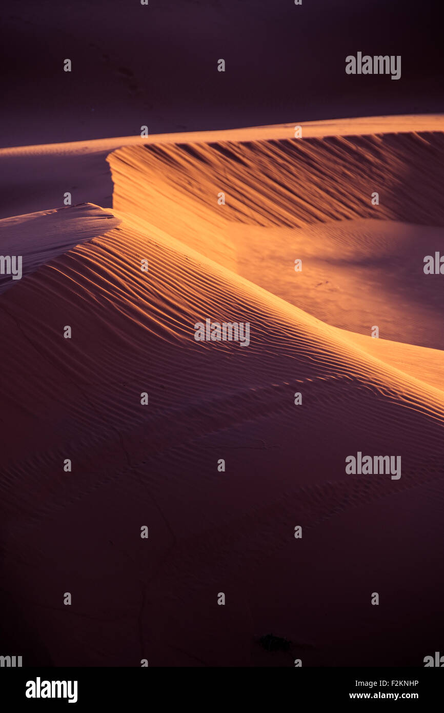 Sahara expedition hi-res stock photography and images - Alamy