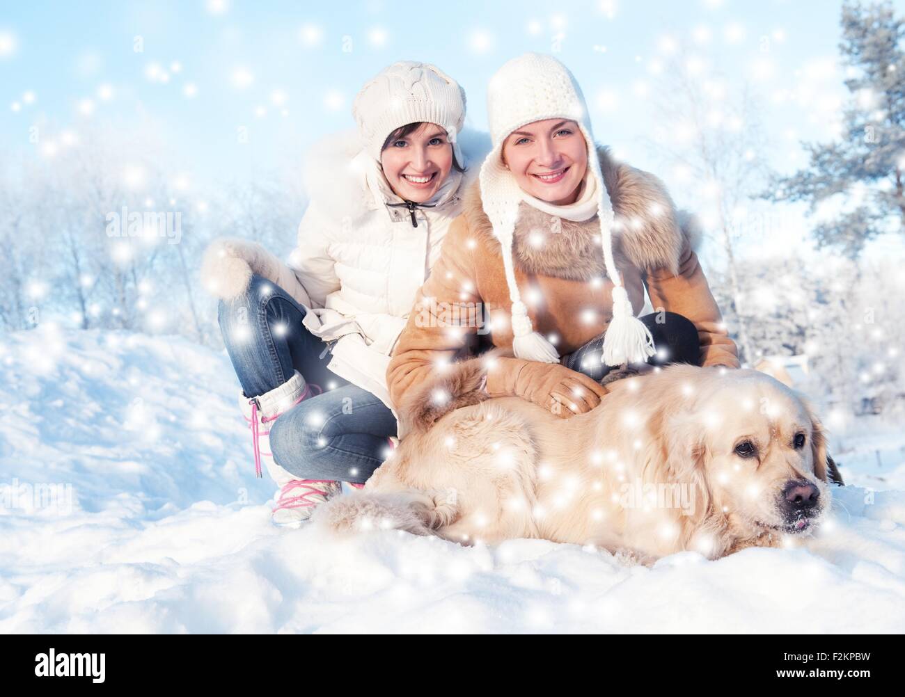 Friends playing with golden retriever outdoors Stock Photo - Alamy