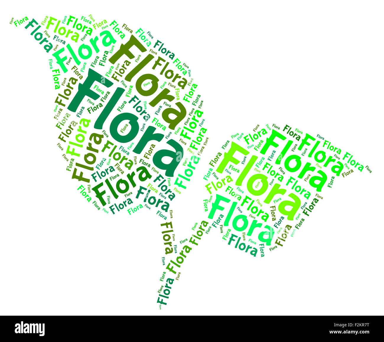 Flora Word Indicating Plant Life And Regional Stock Photo - Alamy