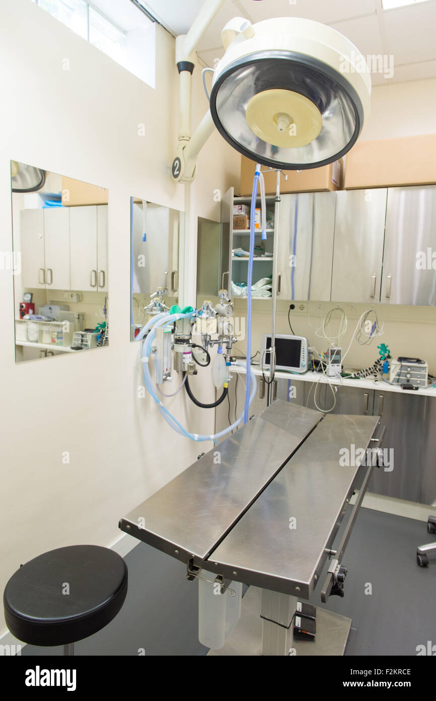 Vet operating hi-res stock photography and images - Alamy