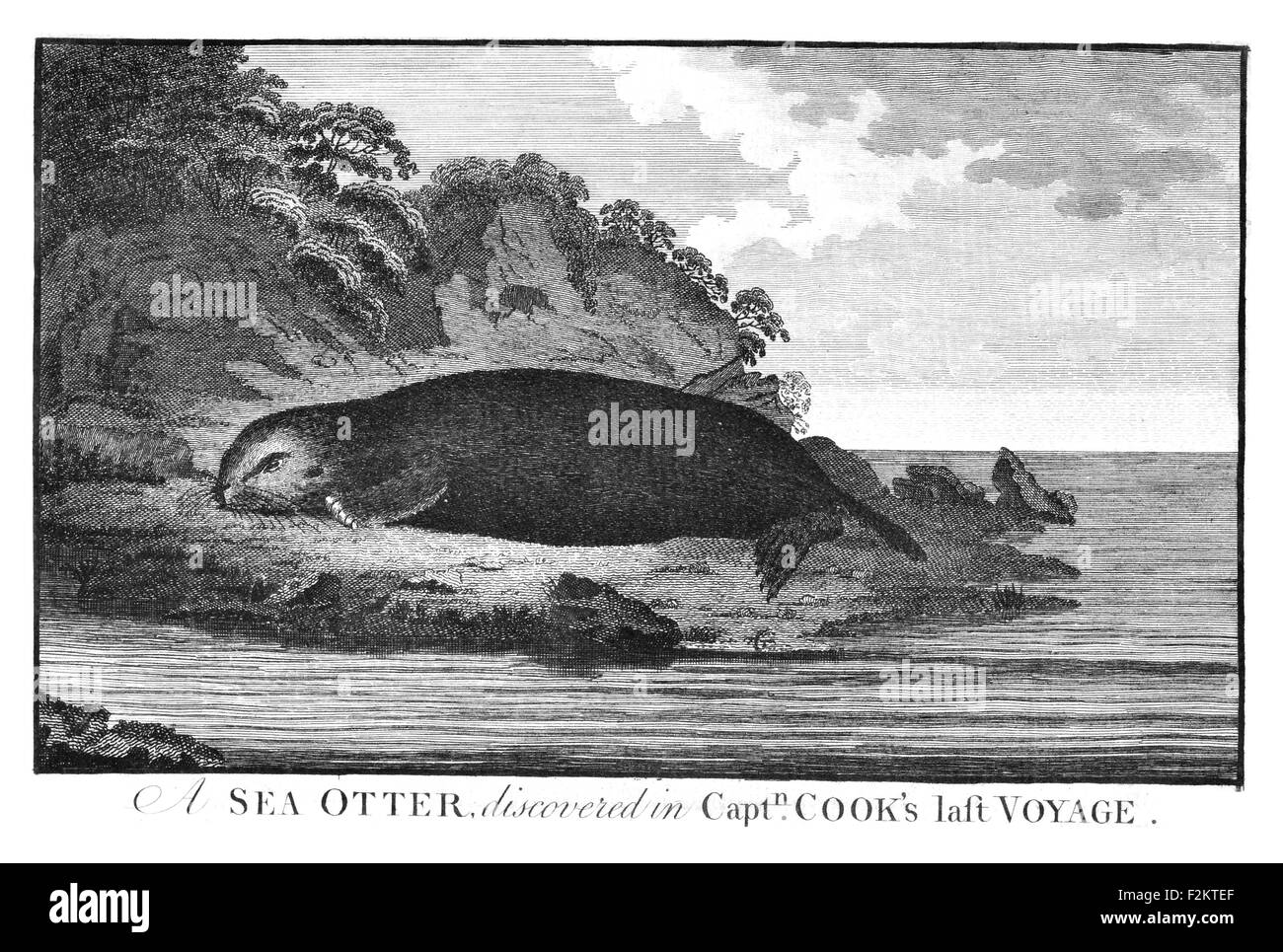 Captain james cook alaska hi-res stock photography and images - Alamy