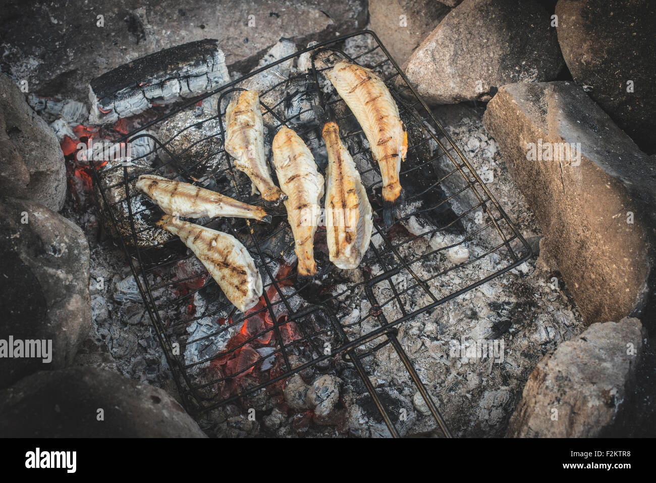 Grilling fish on camp fire Stock Photo - Alamy