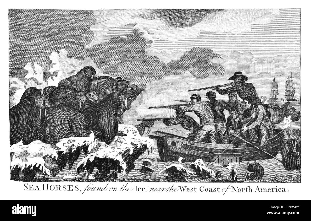 Captain James Cook FRS 1728 1779 British explorer, navigator ... Captain James Cook FRS 1728 1779 British explorer, navigator ...