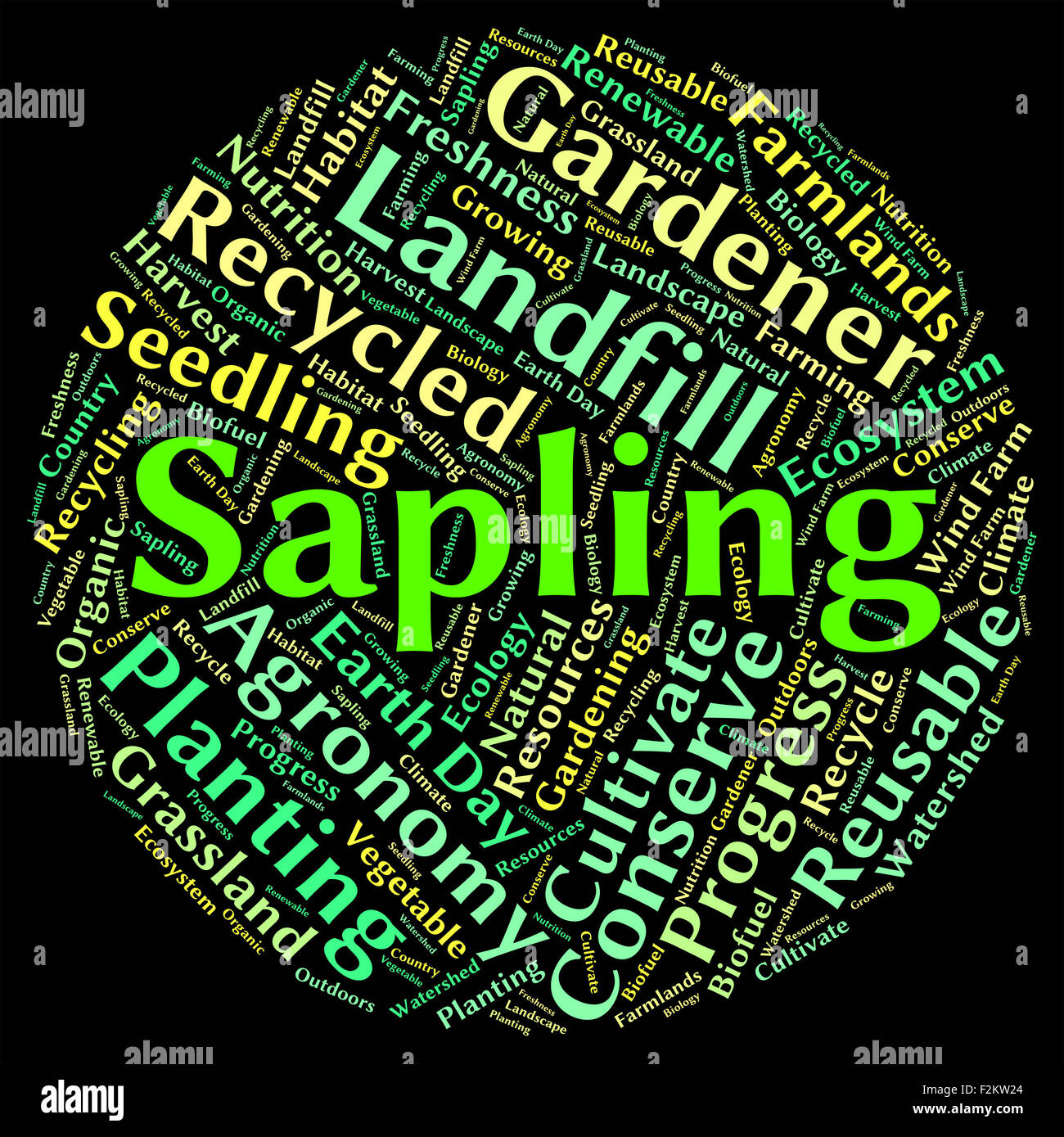 Sapling Word Showing Tree Trunk And Cultivates Stock Photo - Alamy