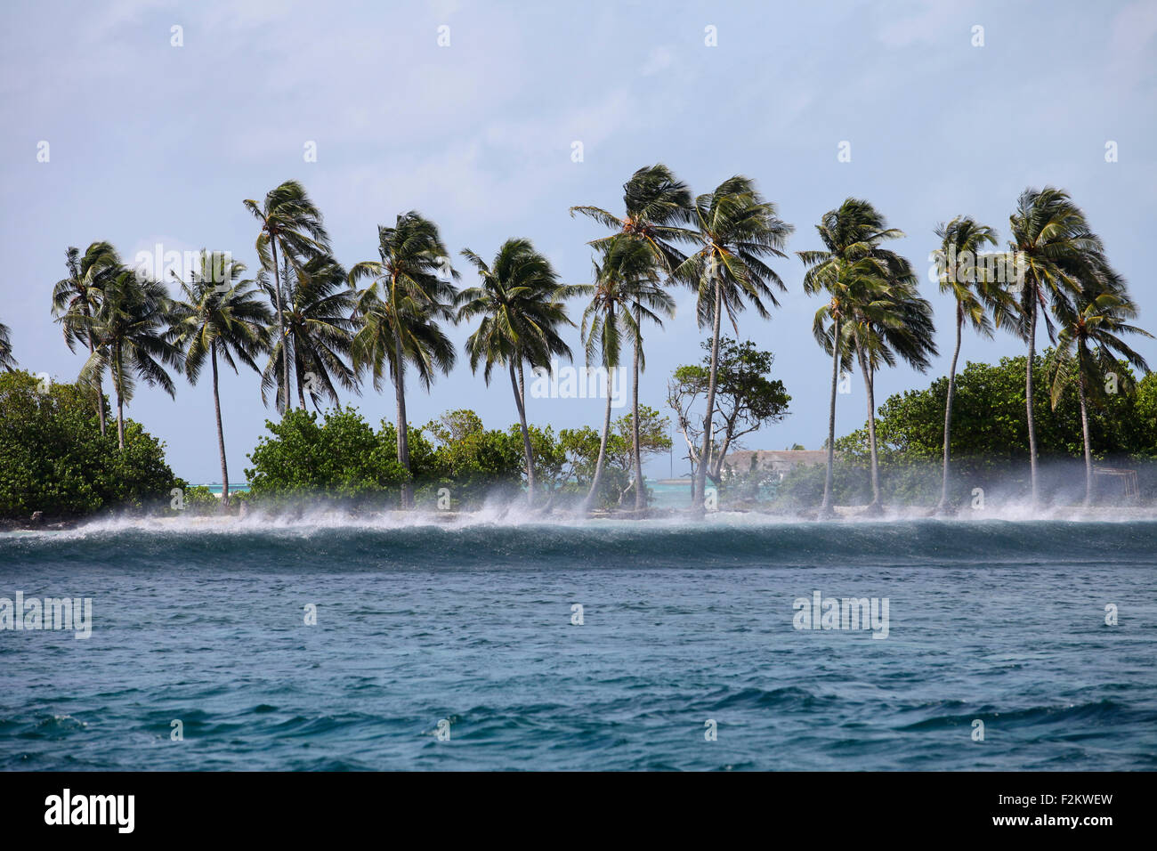 Maledives, South Male Atoll, surging billow arriving seashore on a ...