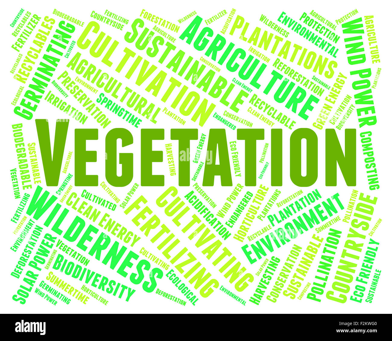 Vegetation Word Representing Plant Life And Foilage Stock Photo - Alamy