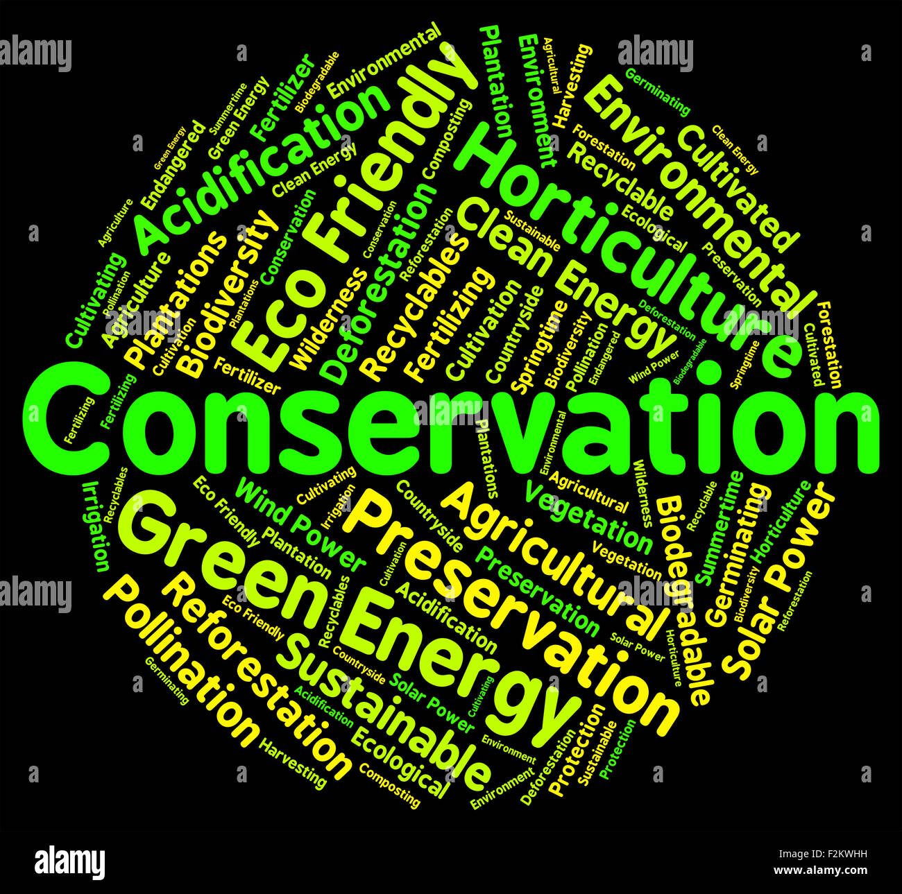 Conservation Word Representing Eco Friendly And Environmentally Stock ...