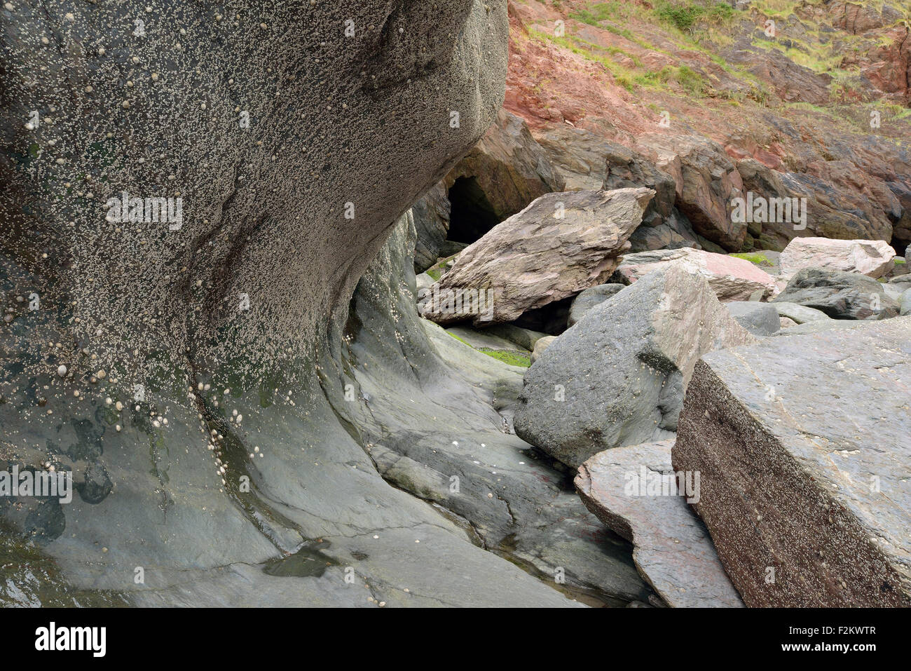 Wave Eroded Rock & Sandstone Cliff, Woody Bay, North Devon Coast Stock ...