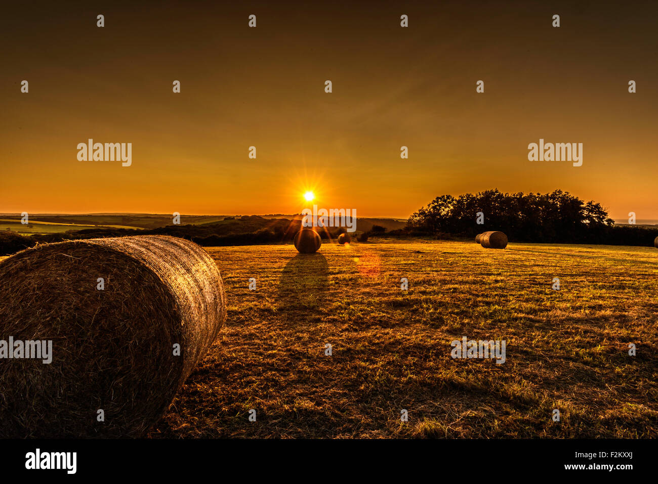 Lambley Park Sunsets Stock Photo - Alamy