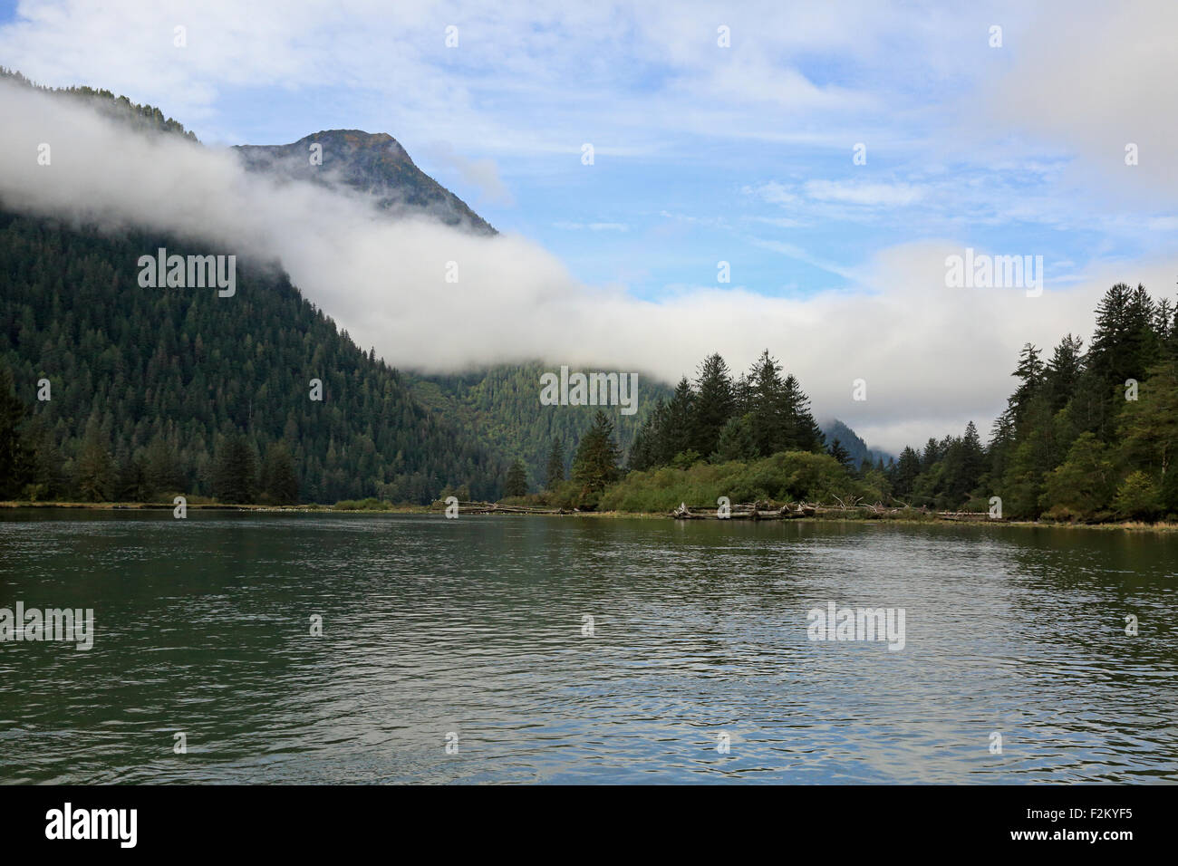 Rain forest canada hi-res stock photography and images - Alamy