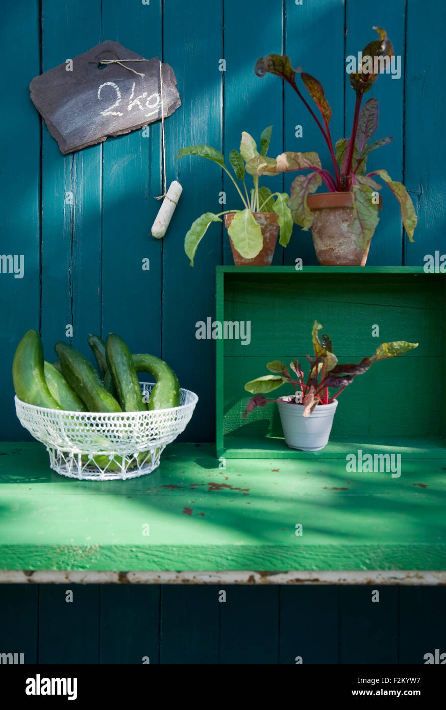 Cucumbers in wire basket and mangold, slate with chalk Stock Photo - Alamy
