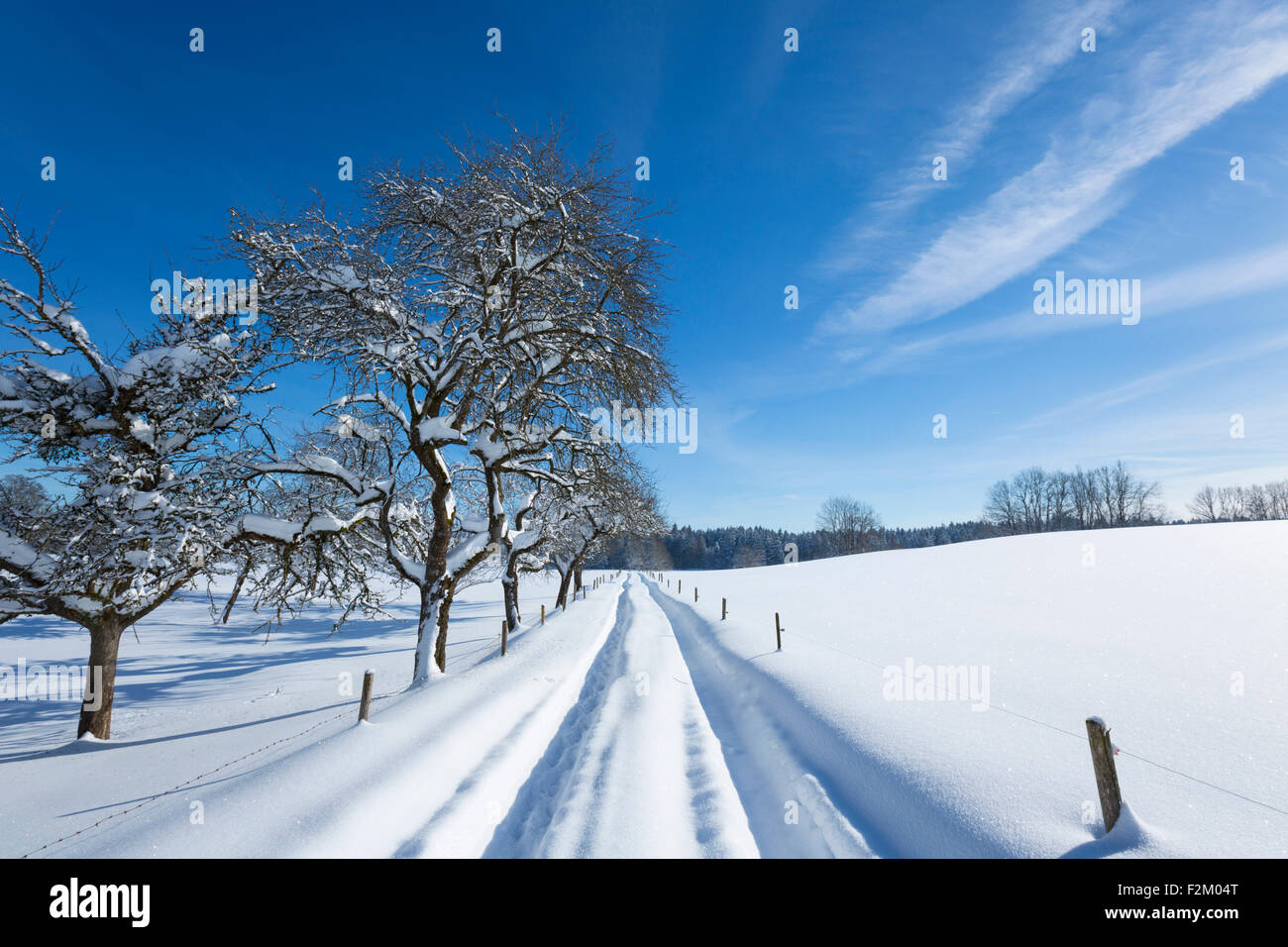Germany, Bavaria, Road covered in deep snow Stock Photo - Alamy