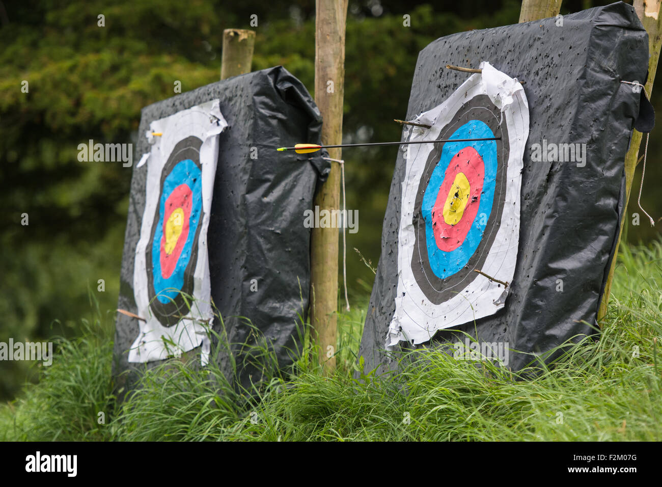 Two targets one arrow hi-res stock photography and images - Alamy