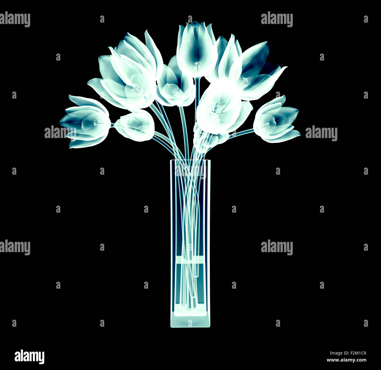 Xray flowers hi-res stock photography and images - Alamy