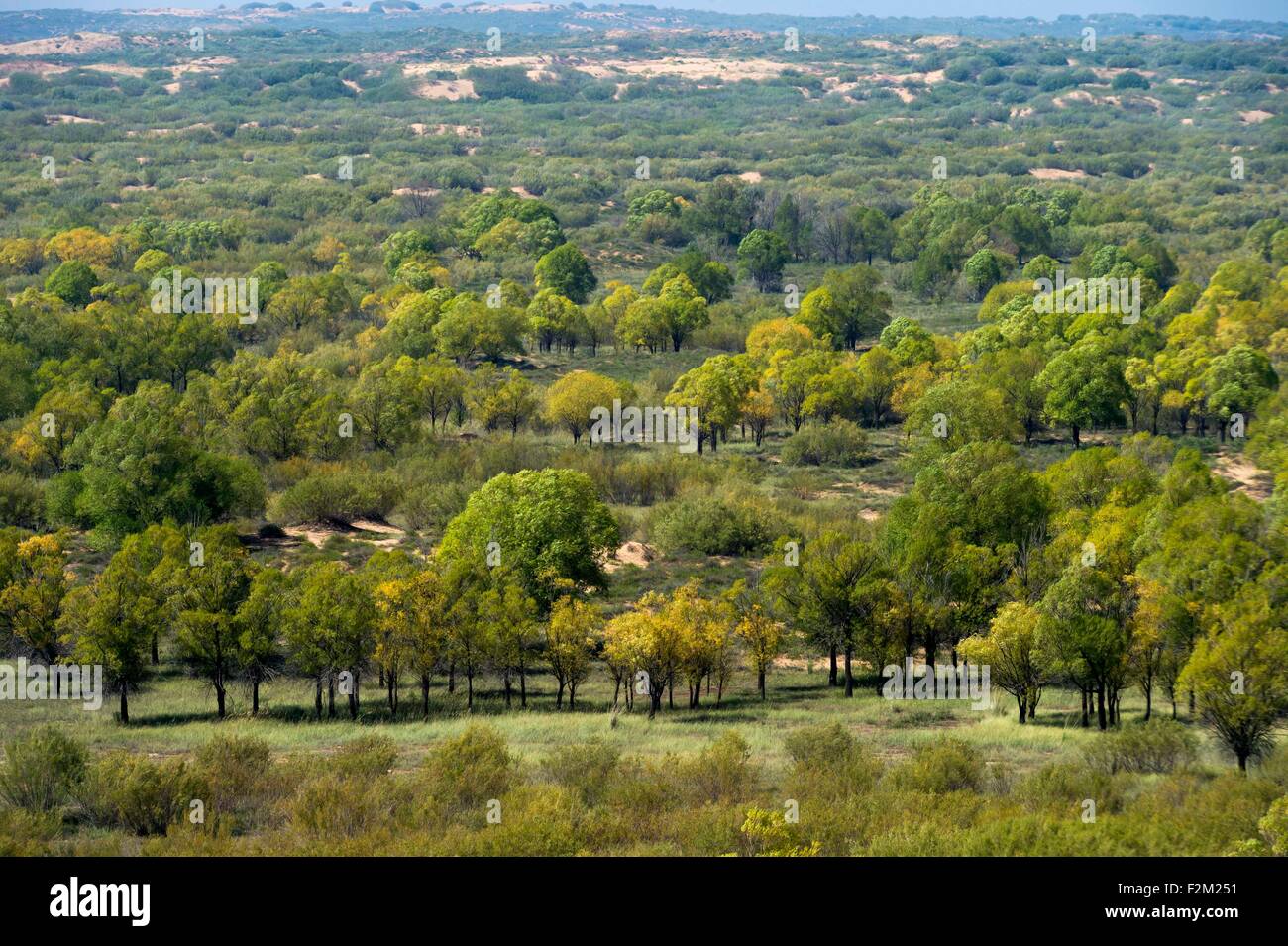 Desert fringes hi-res stock photography and images - Alamy