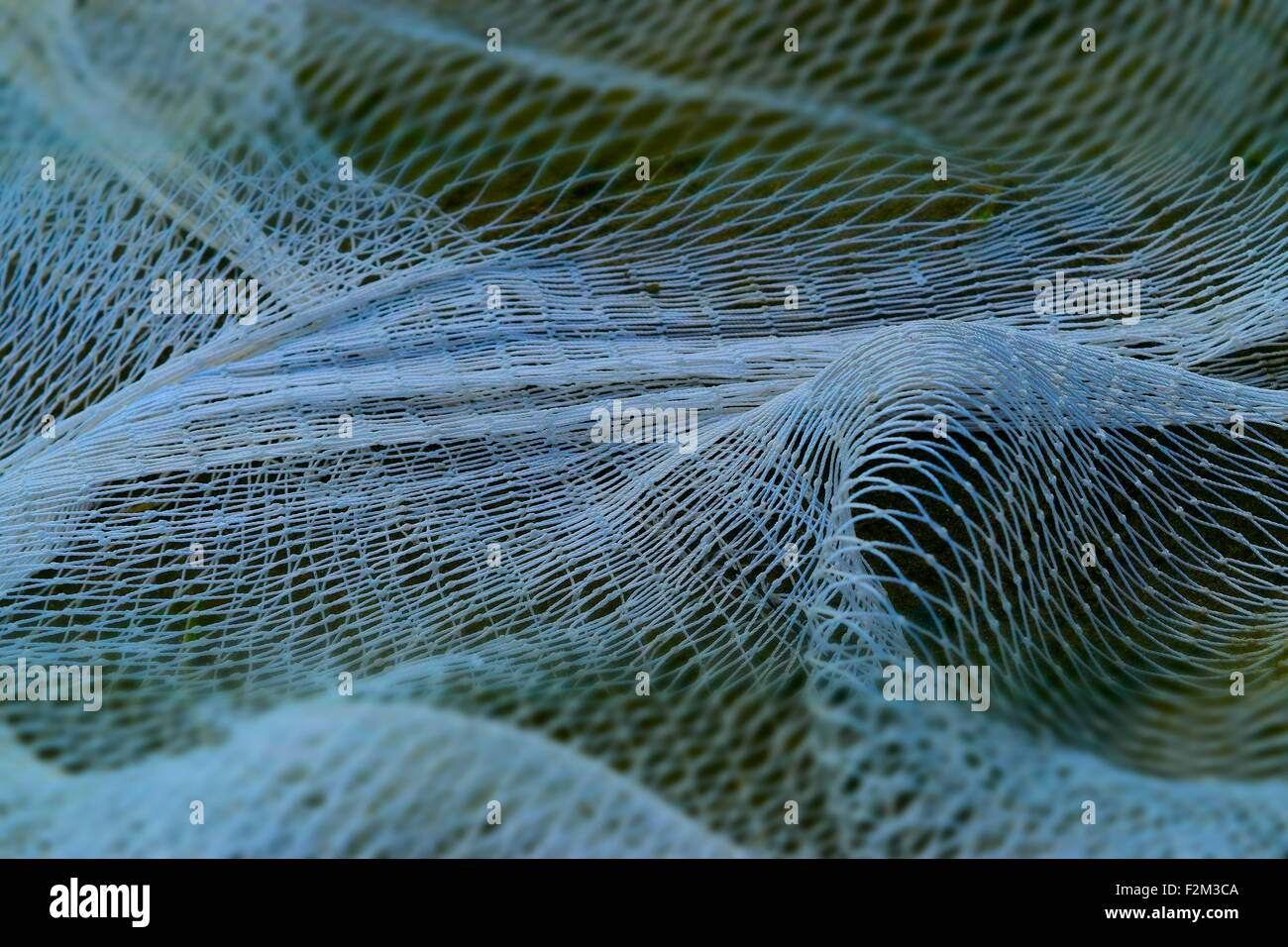 Beautiful area in bangladesh hi-res stock photography and images - Alamy