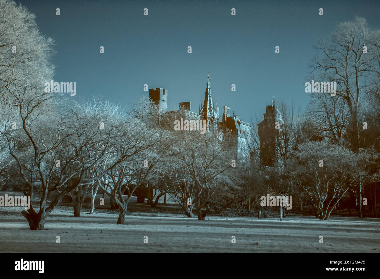 Cardiff castle winter hi-res stock photography and images - Alamy