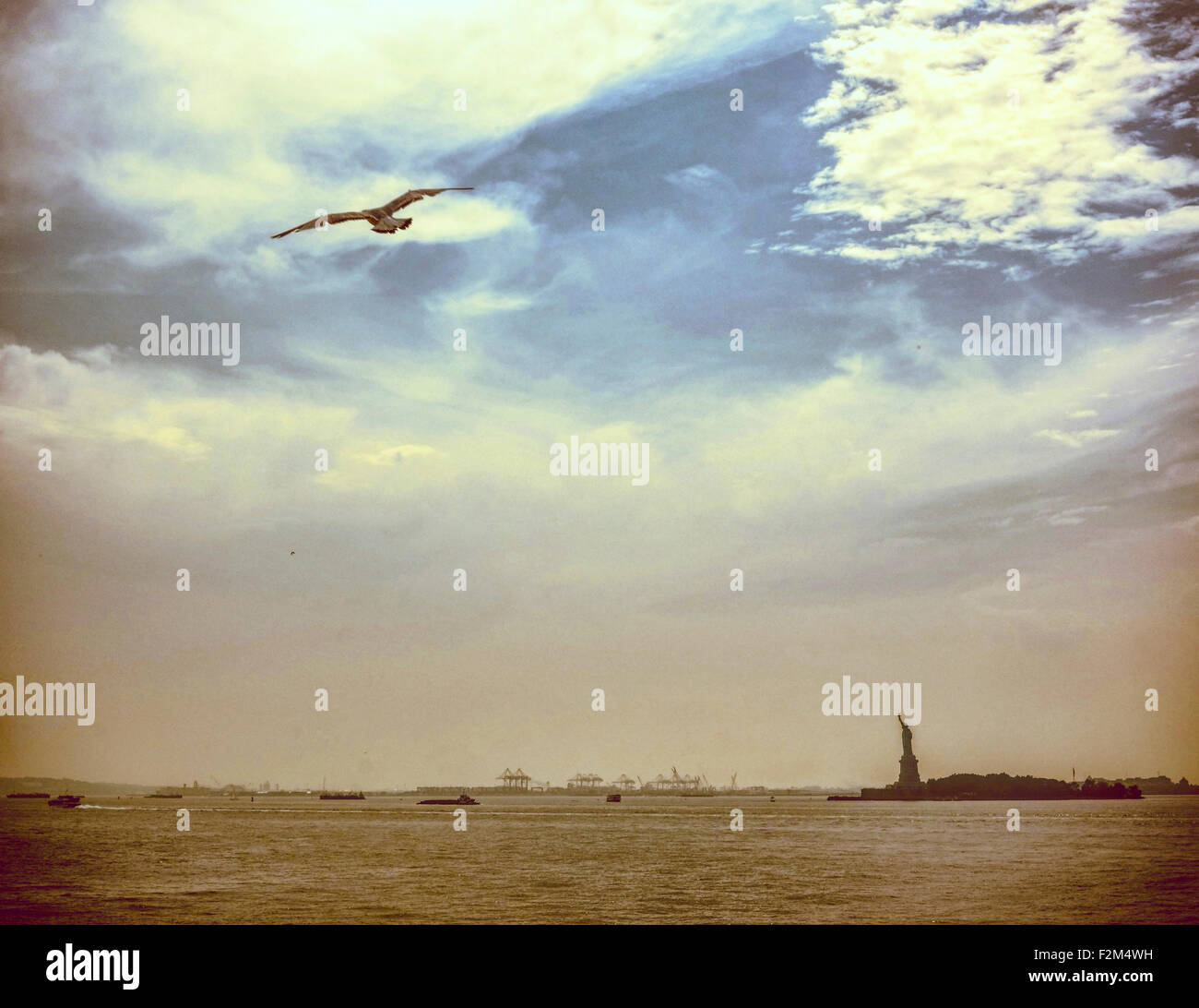 USA, New York City, Seagull flying in the sky with Statue of Liberty in ...