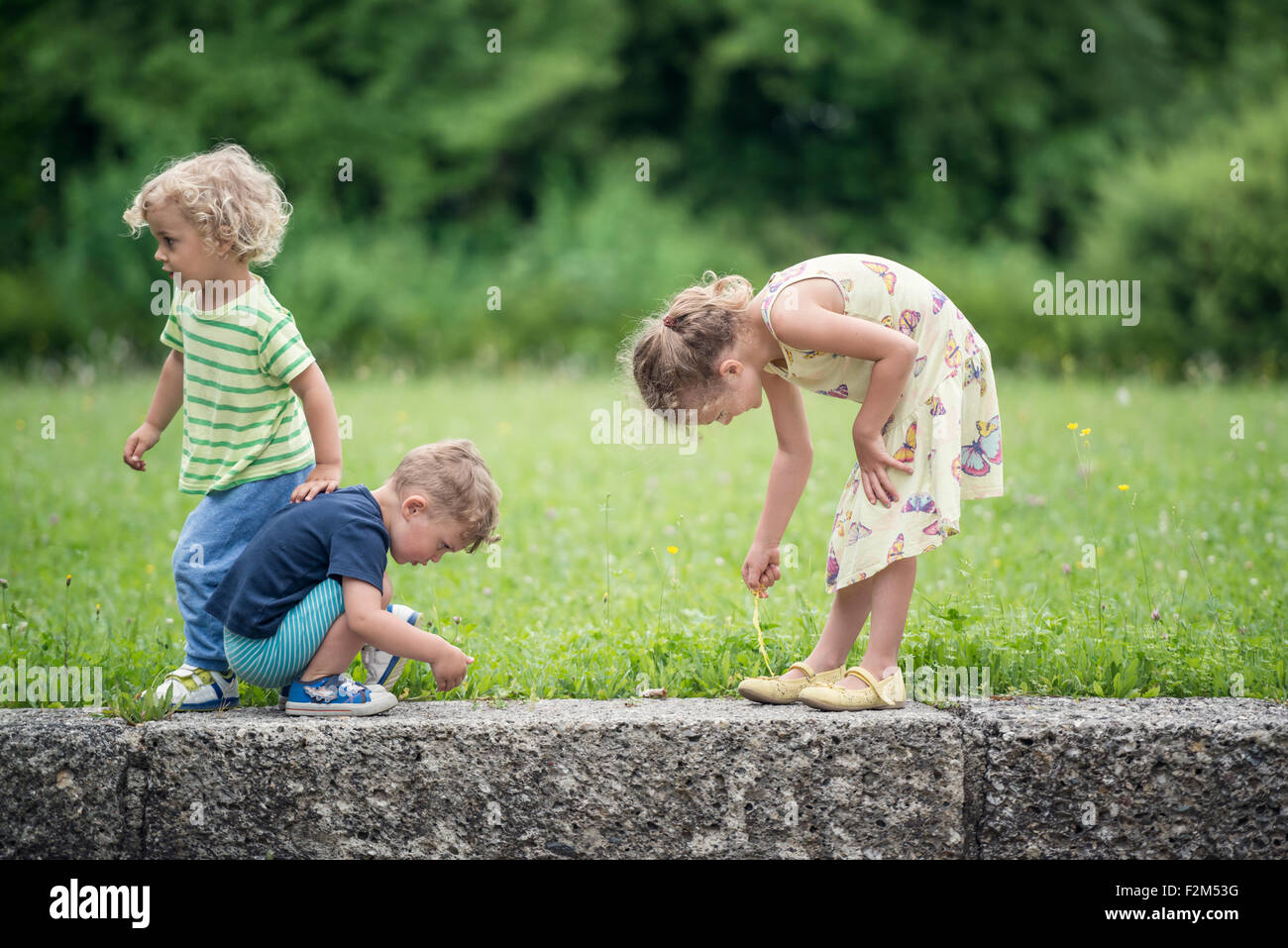 Three little children playing together Stock Photo - Alamy