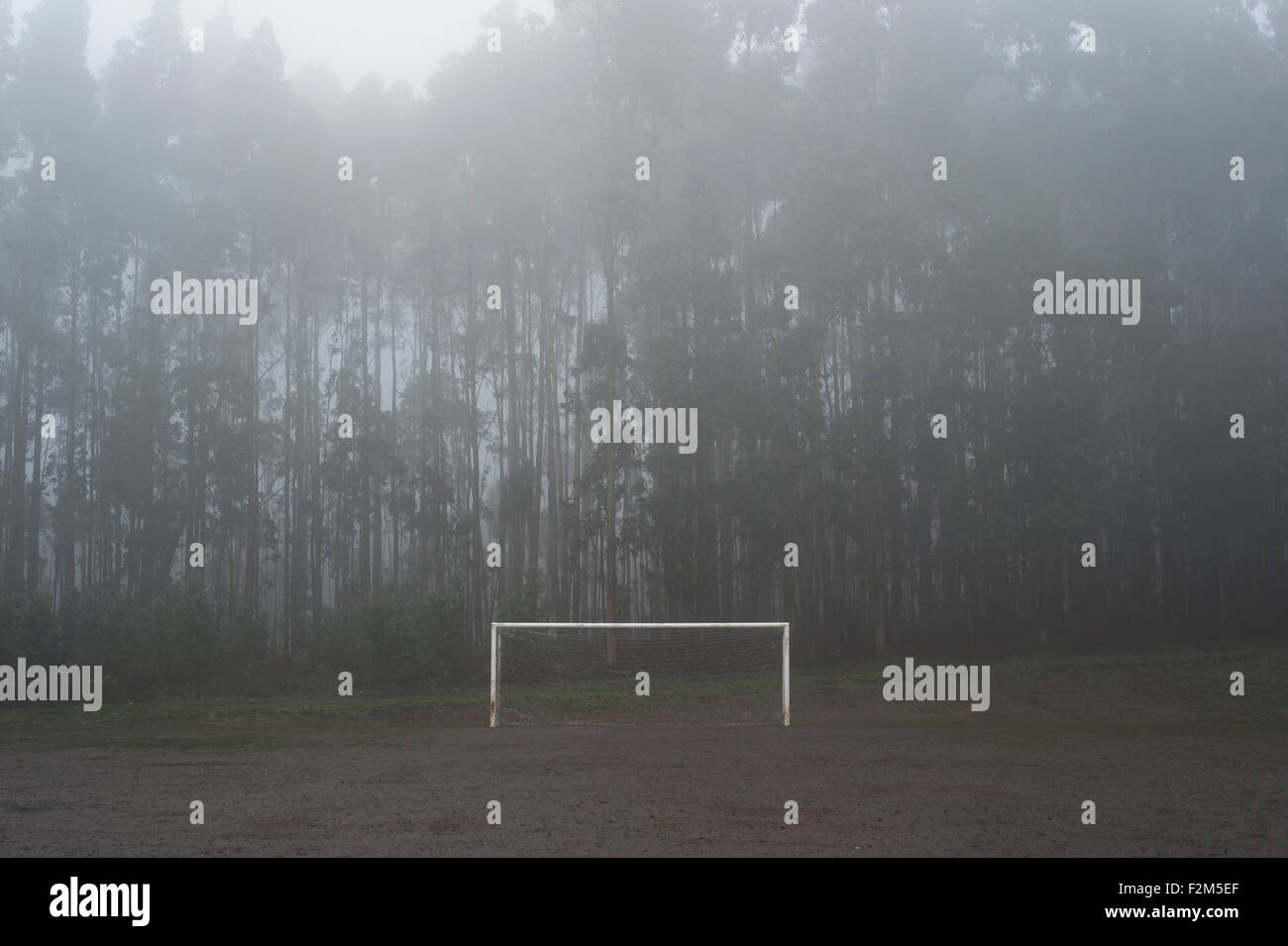 Muddy soccer field hi-res stock photography and images - Alamy