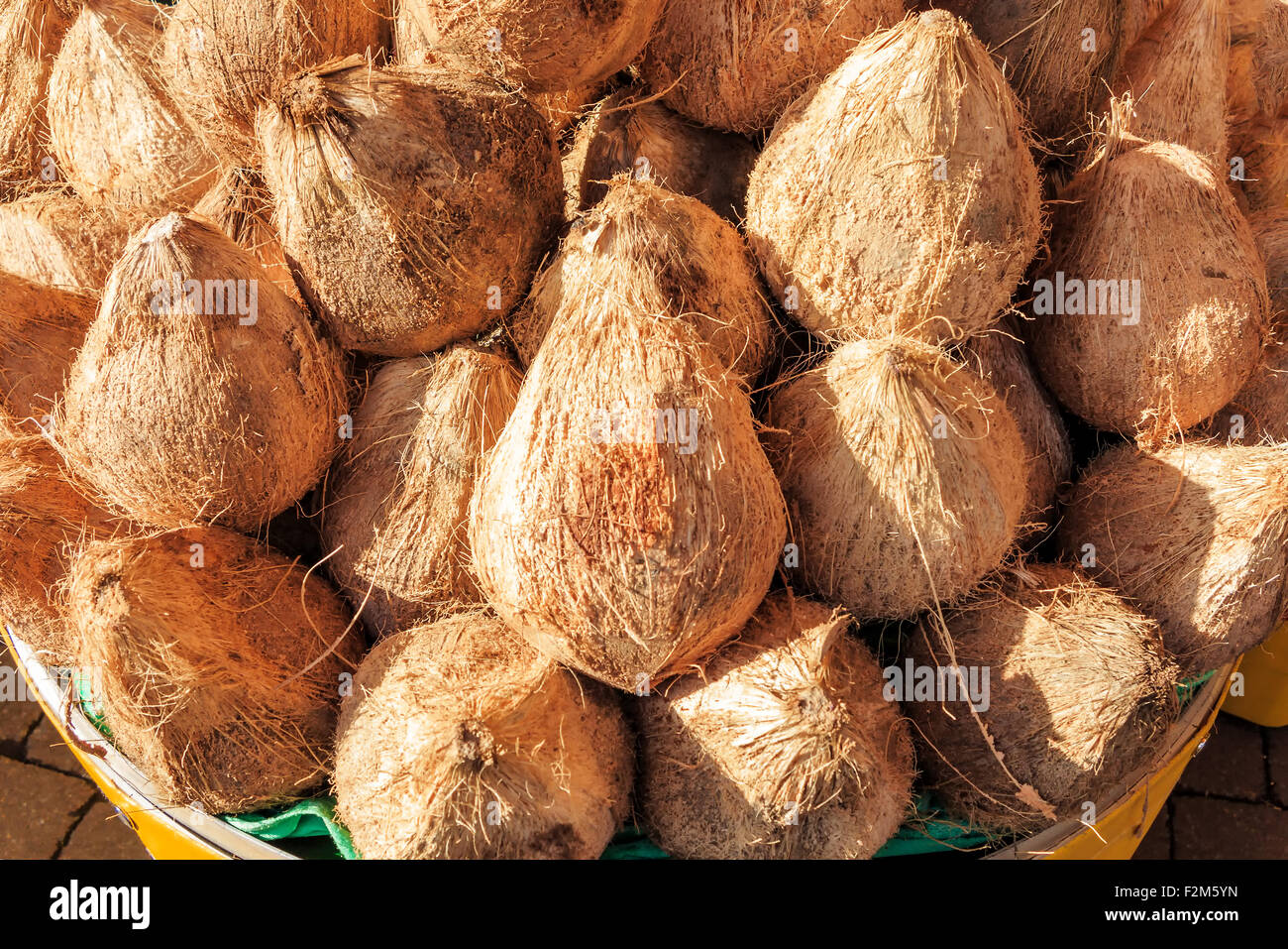 Coconuts Many Stock Photos & Coconuts Many Stock Images - Alamy