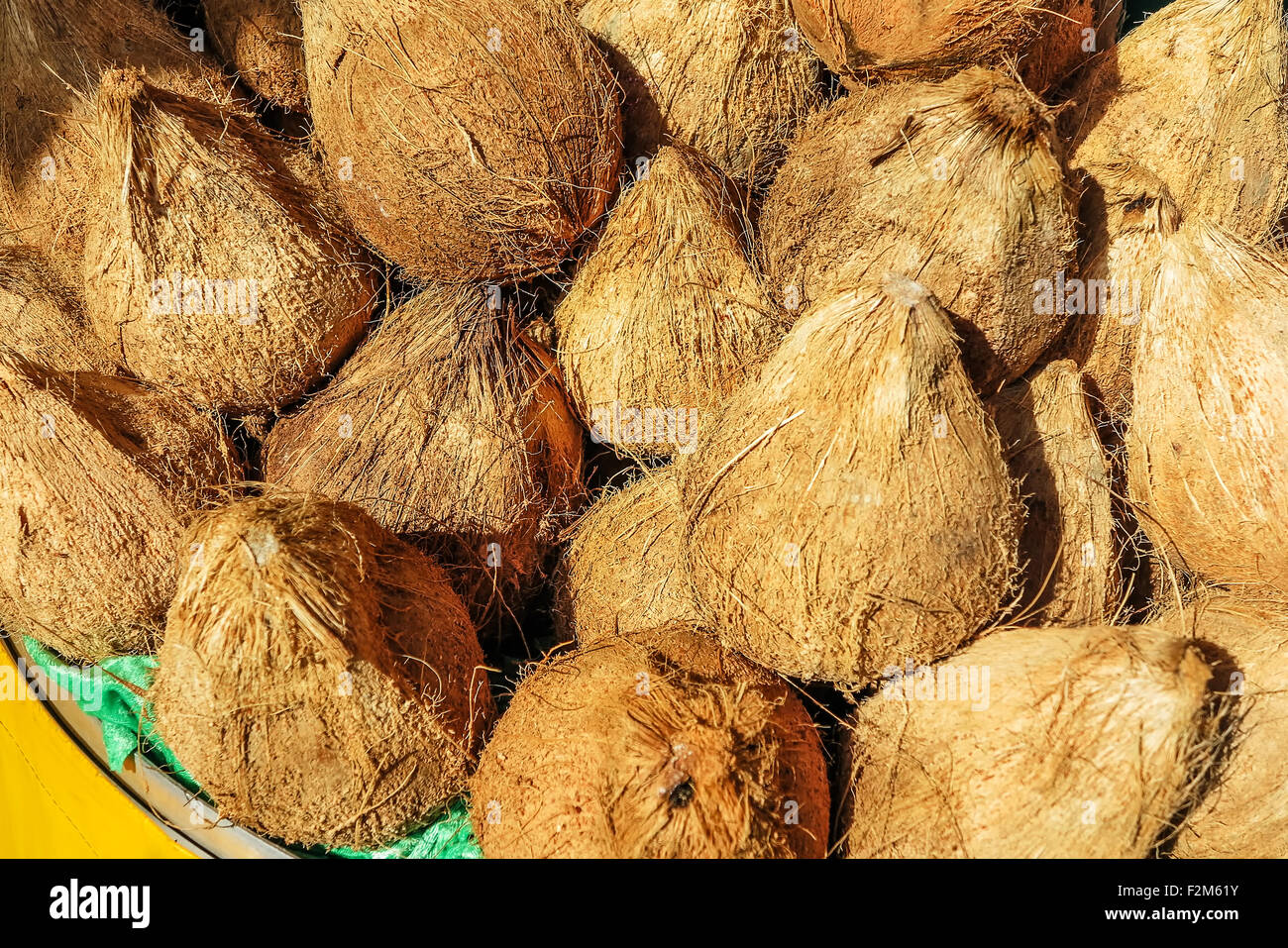 Coconuts Many Stock Photos & Coconuts Many Stock Images - Alamy
