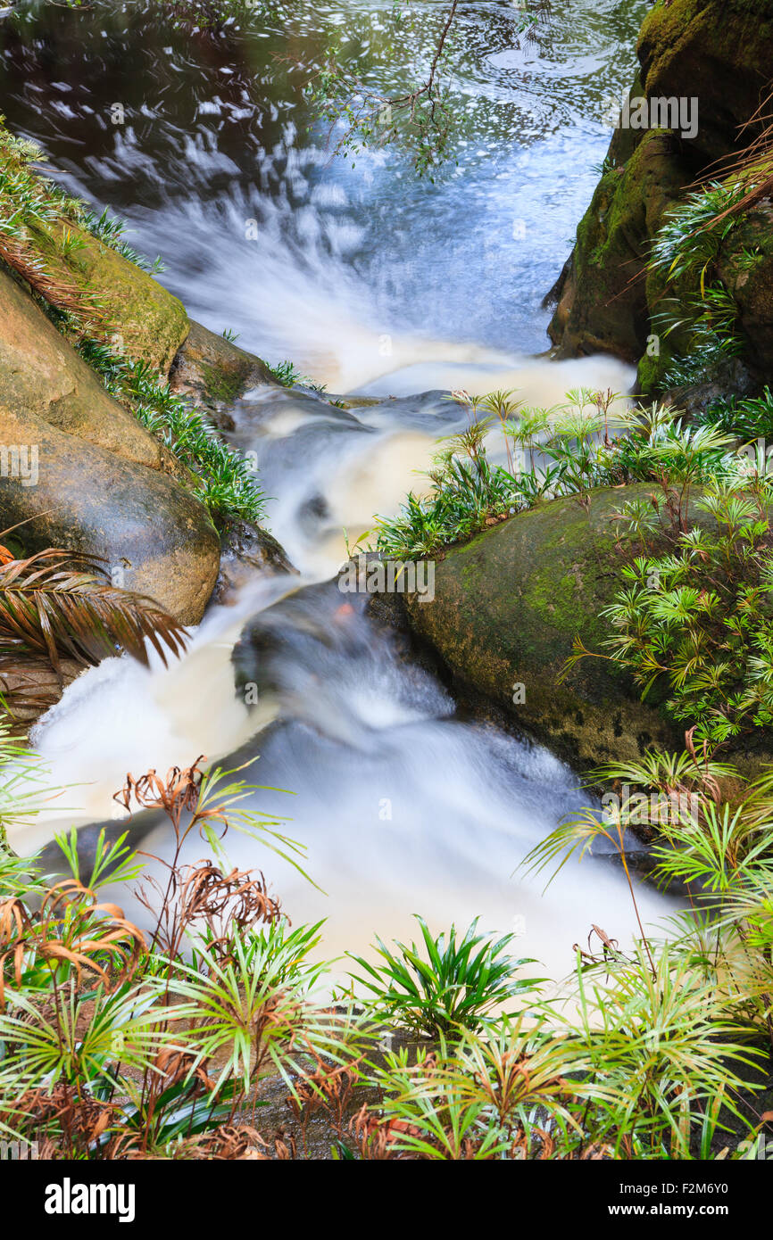Small waterfall in jungle Stock Photo - Alamy
