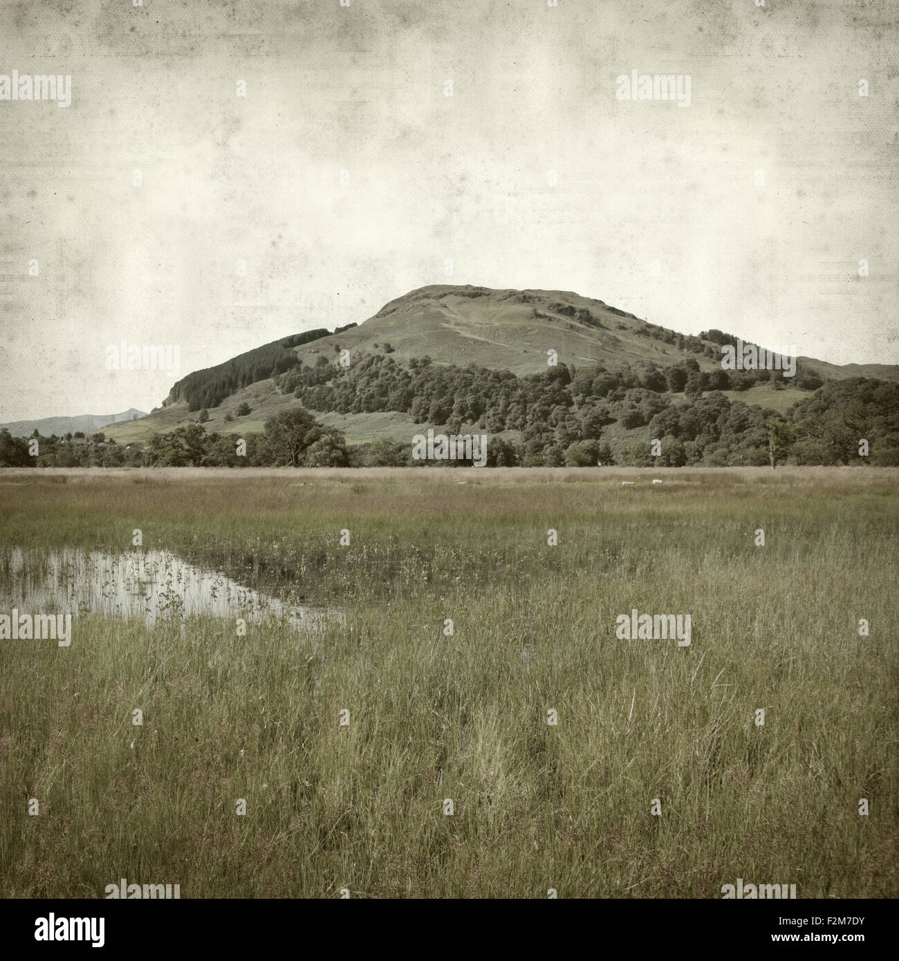 textured old paper background with Scotland summer landscape Stock ...