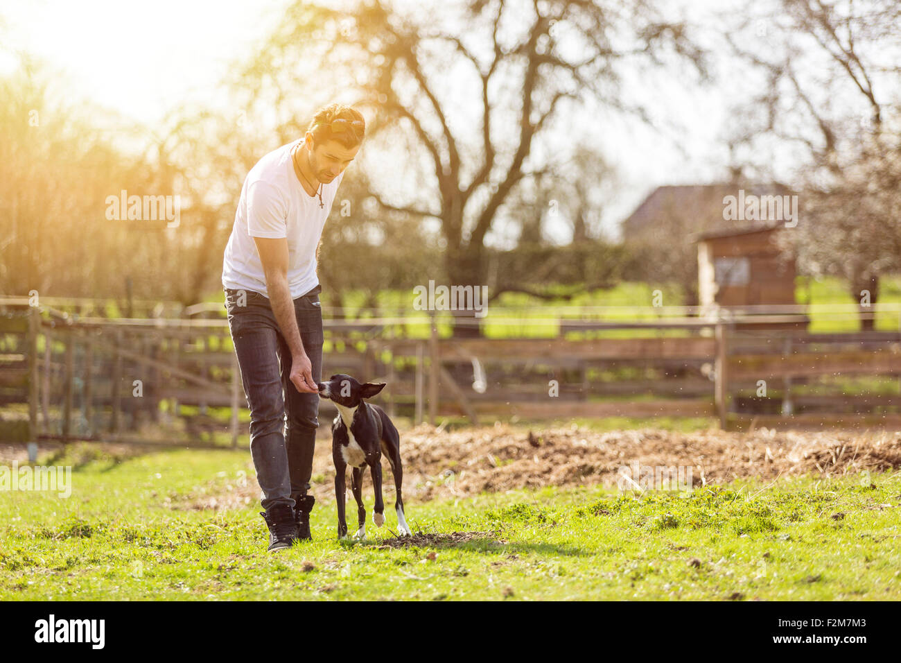 Person training a dog hi-res stock photography and images - Alamy
