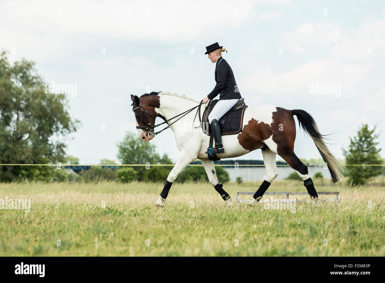 Dressage rider on horse Stock Photo - Alamy