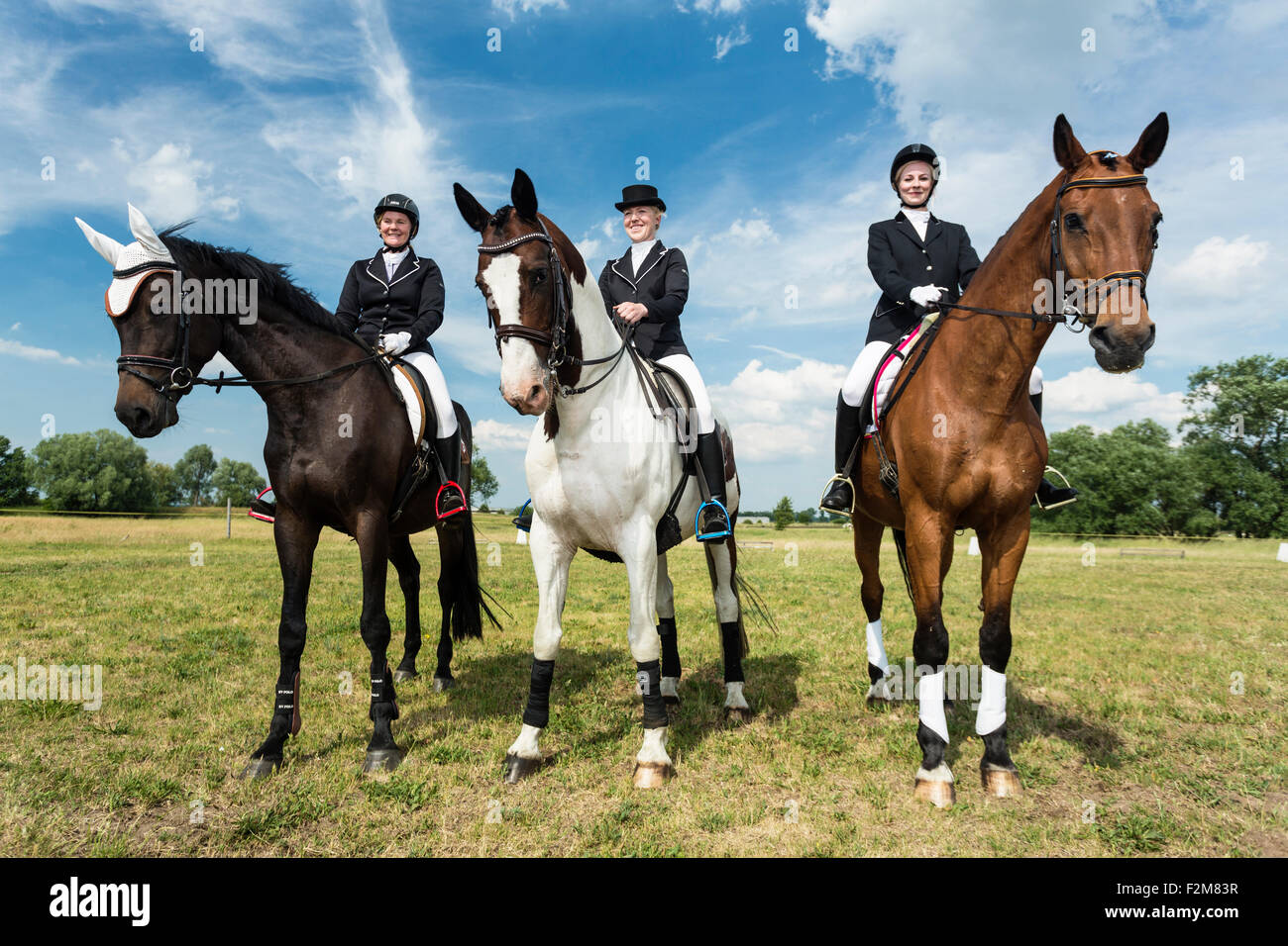 Three riders on their horses on a meadow Stock Photo - Alamy