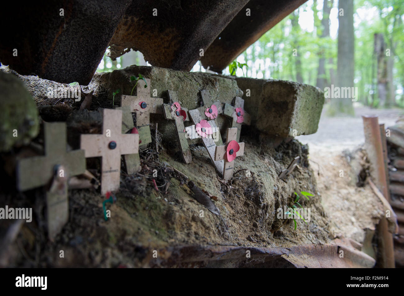 Crosses in a trench at Hill 62, Flanders, Belgium one of the many ...