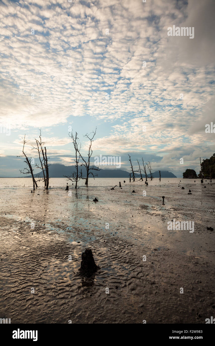 Muddy beach beach hi-res stock photography and images - Alamy