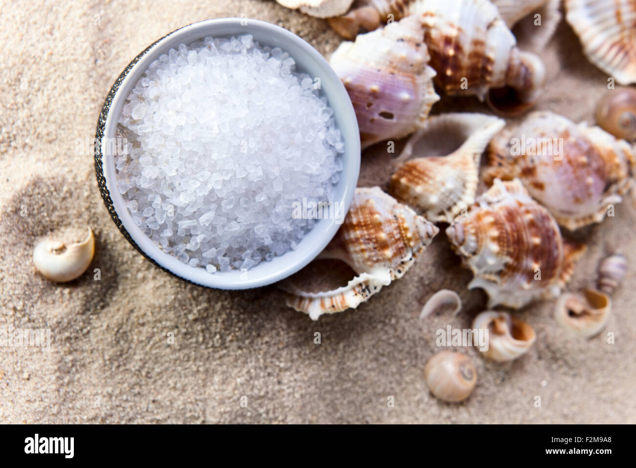 Sea salt and shells on sea sand Stock Photo - Alamy