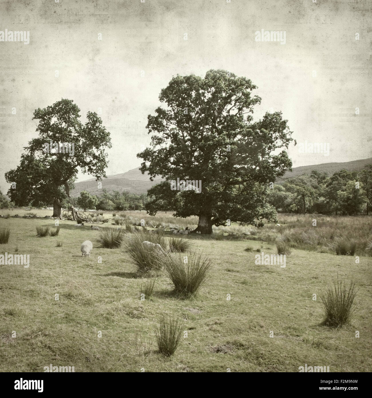 textured old paper background with Scotland summer landscape with ...