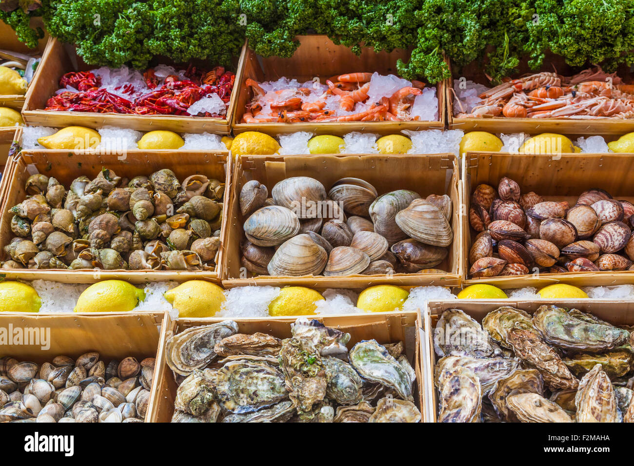 Display with fresh seafood Stock Photo - Alamy