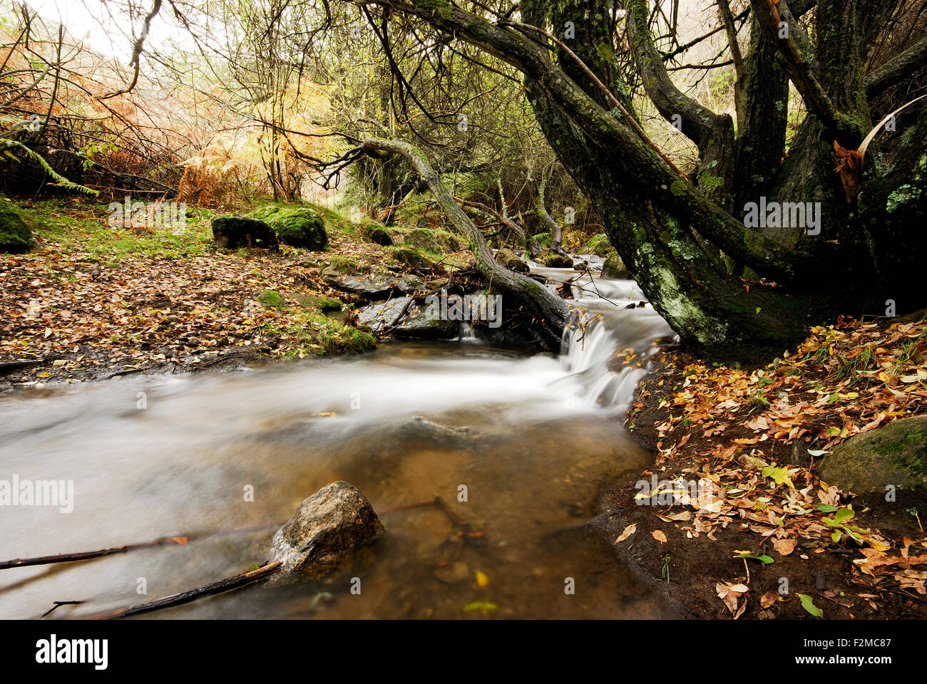 Stream field edge hi-res stock photography and images - Alamy