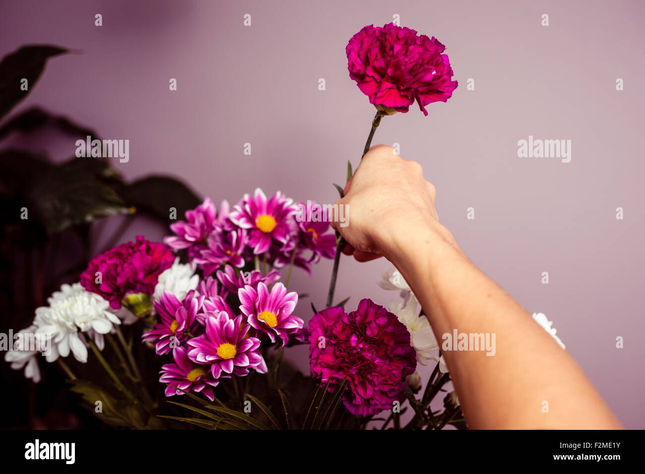 Woman's hand arranging flowers Stock Photo - Alamy