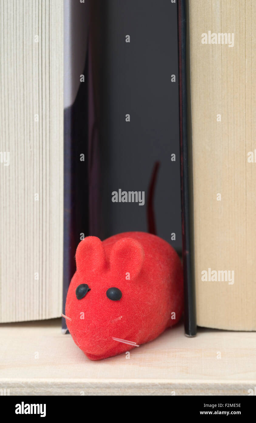 red mice between books Stock Photo - Alamy