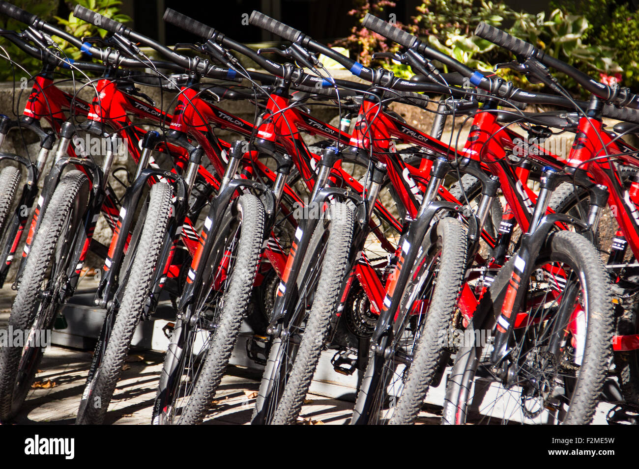 Row of wheels hi-res stock photography and images - Alamy